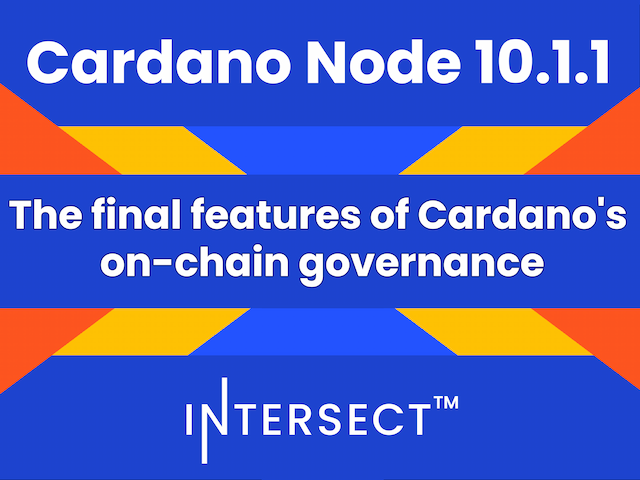 Intersect | Building Together to Drive Cardano Forward
