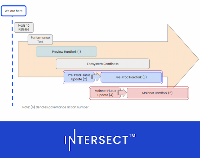 Intersect | Building Together to Drive Cardano Forward