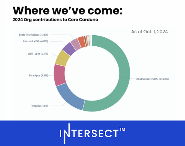 Intersect | Building Together to Drive Cardano Forward