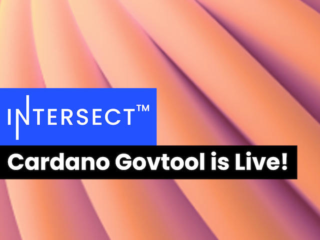 Intersect | Building Together to Drive Cardano Forward